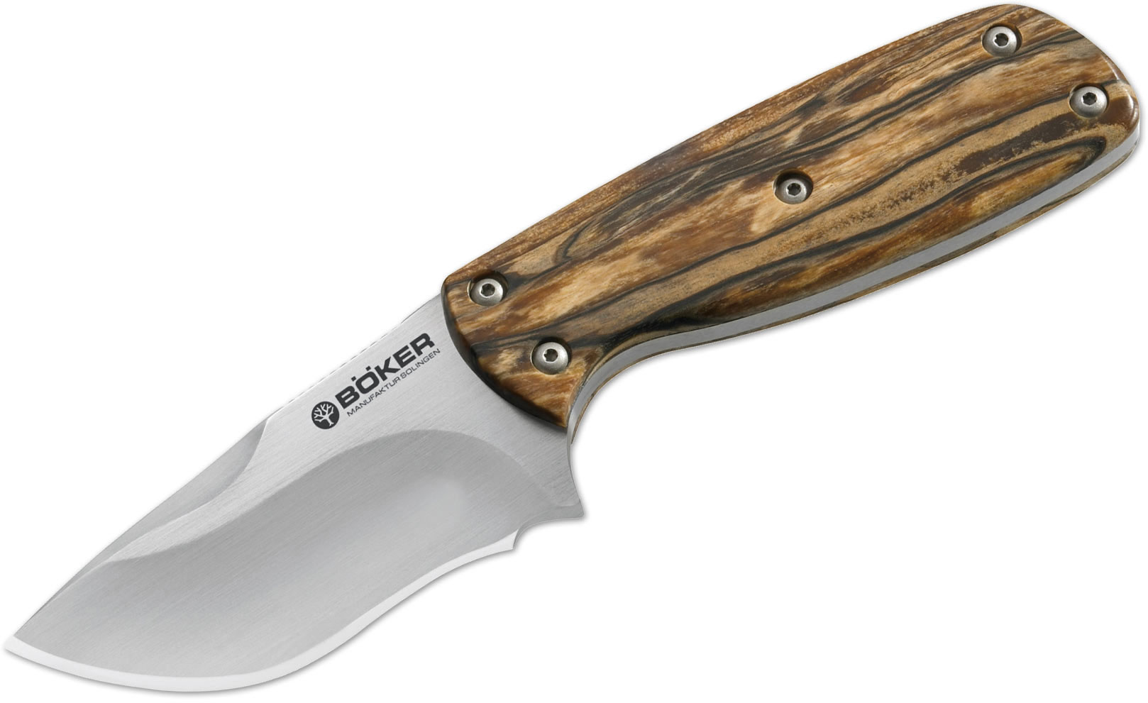 Boker Minx Hunting Fixed 2-5/8" S35VN Blade, Beech Wood Handles (120617 ...