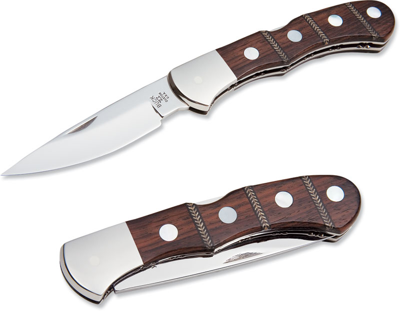 Buck BuckLock Guitar Series Limited Edition 3" Blade with Rosewood ...