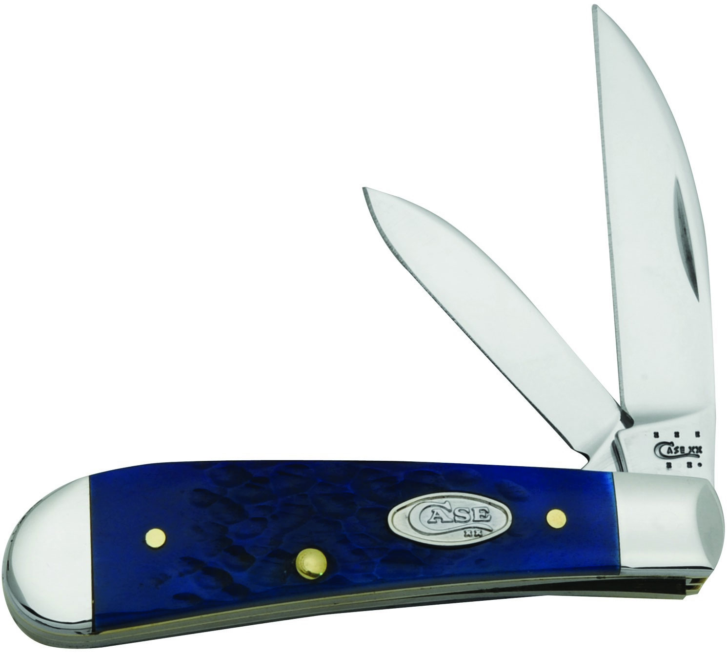 Case Pacific Blue Bone Sway Back Jack 3-3/16" Closed (TB62117 SS ...