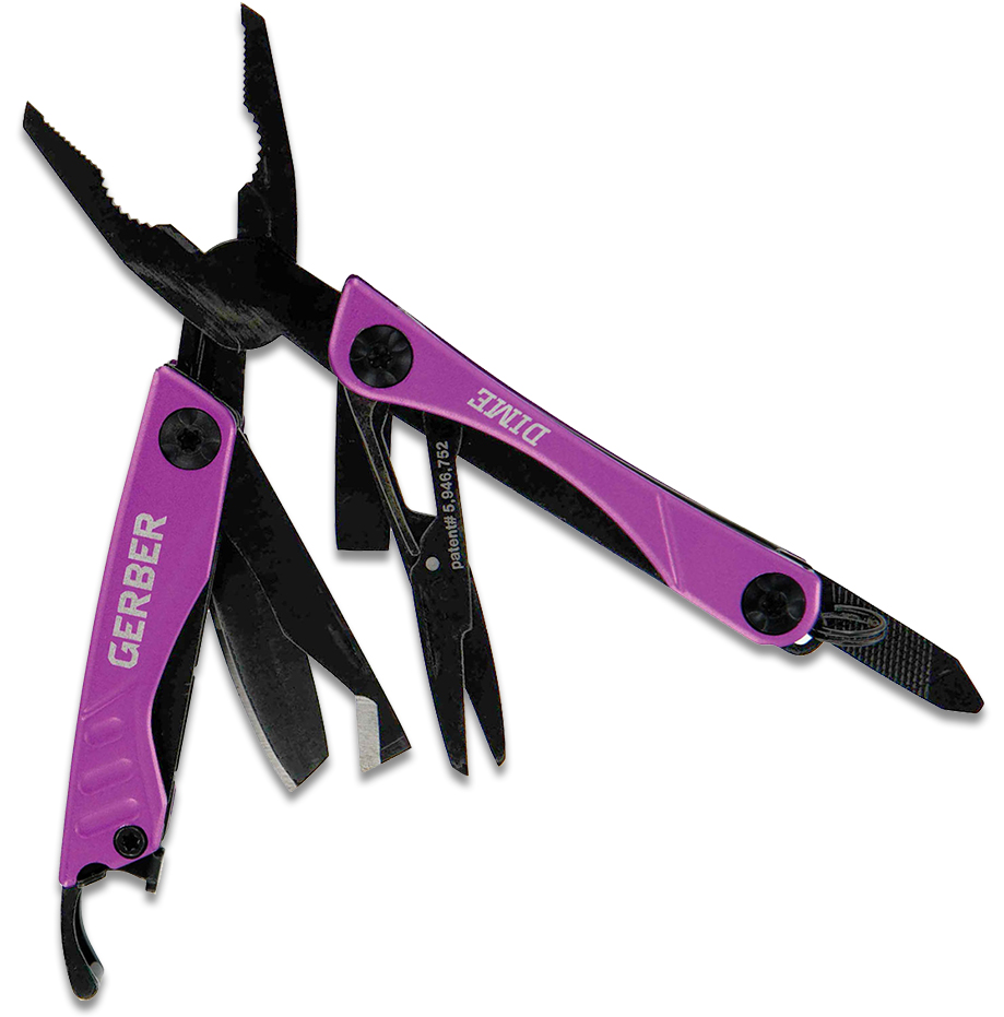 Gerber Dime Keychain Multi-Tool 2.3" Closed, Purple Stainless Steel ...