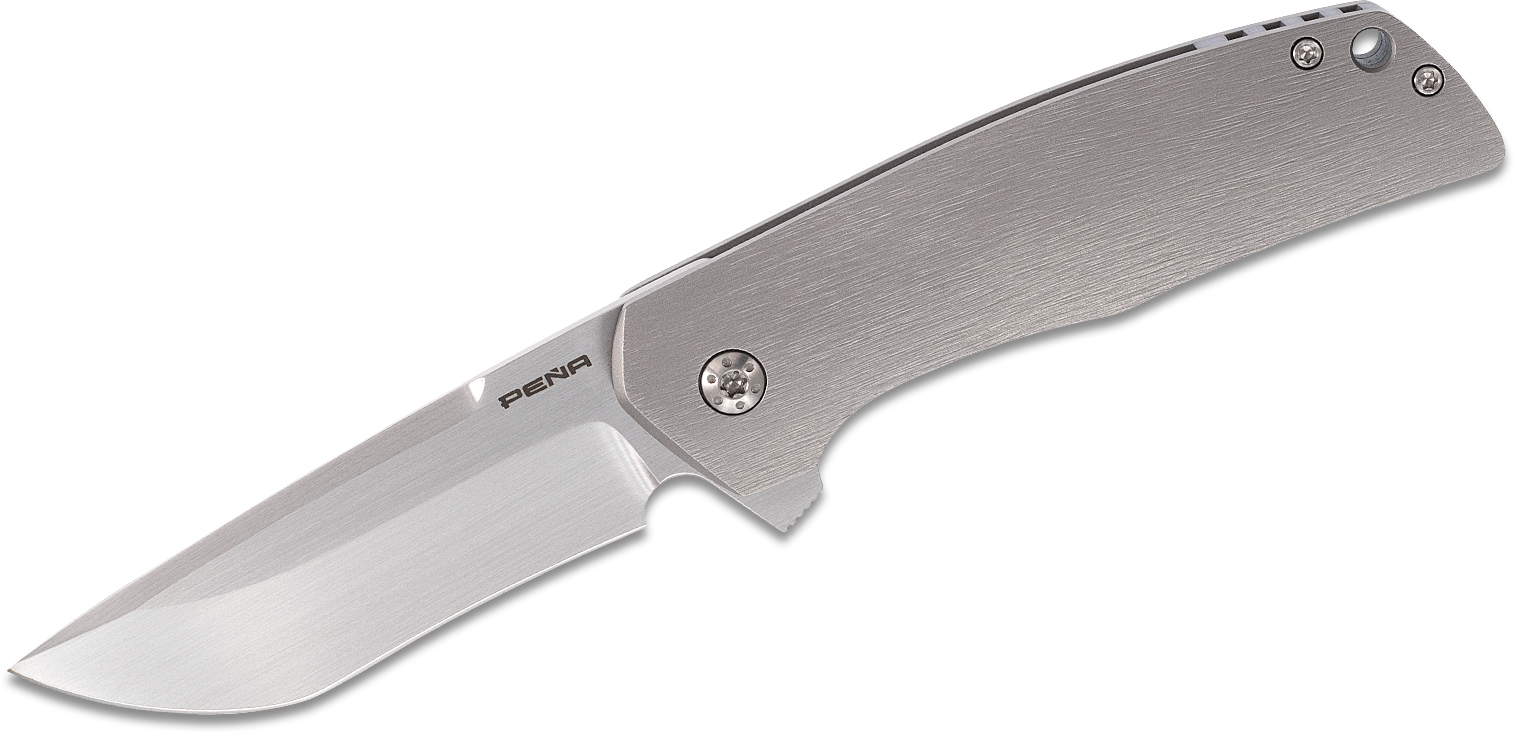 Enrique Pena Custom Dingo Frame Lock Flipper 3.25" CPM-154 Hand Rubbed ...